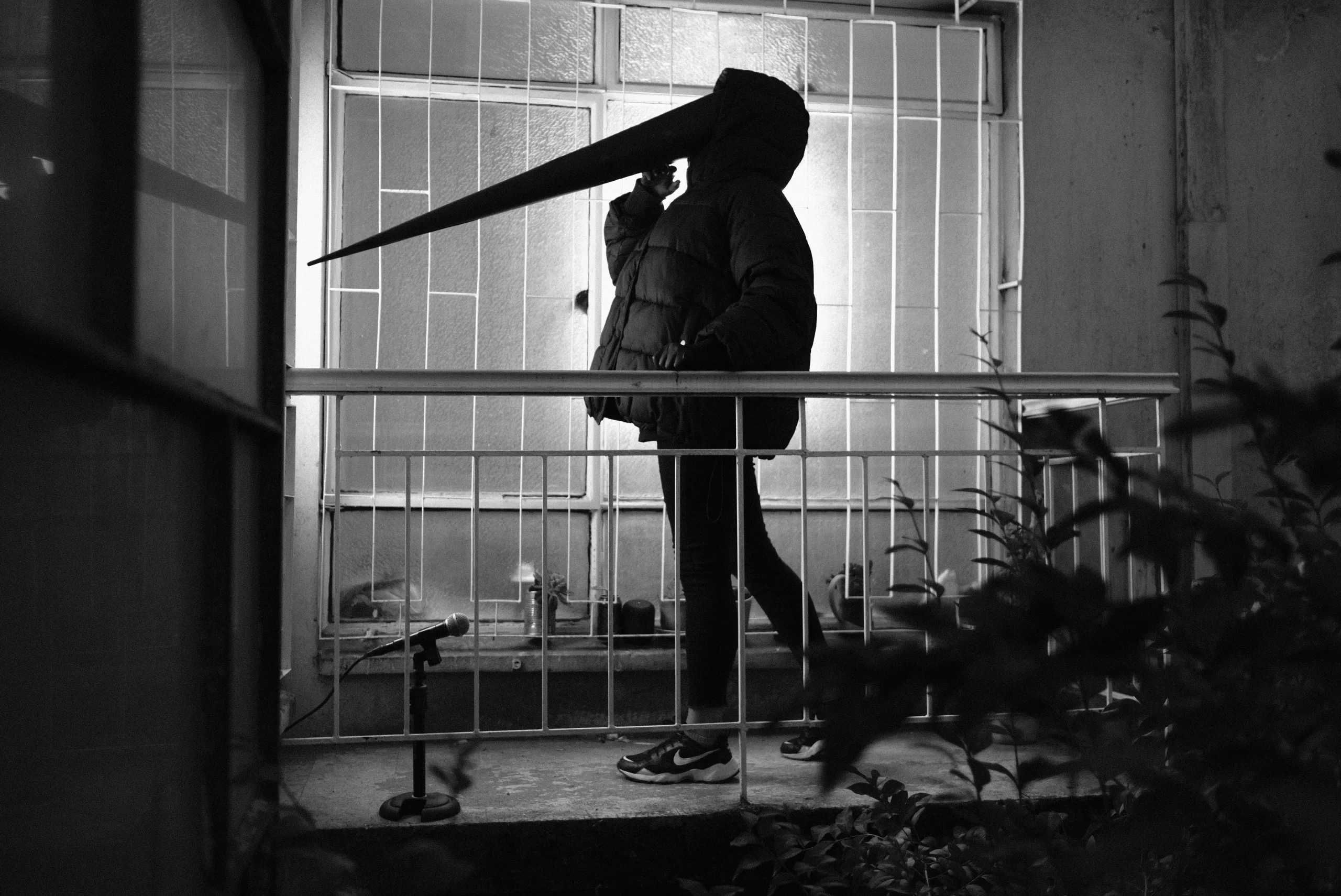 Plataforma Minima Foto Coniflor | Página V