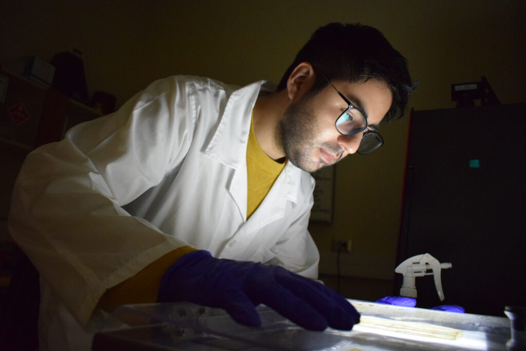 DSC_0787 | Página V