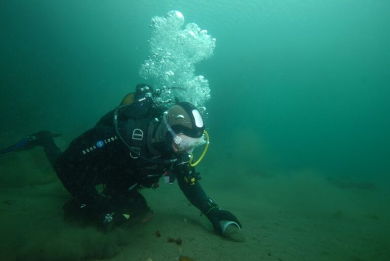 Kerguelen-Credito-Pierre-Yves-Pascal-1-1024×685 | Página V