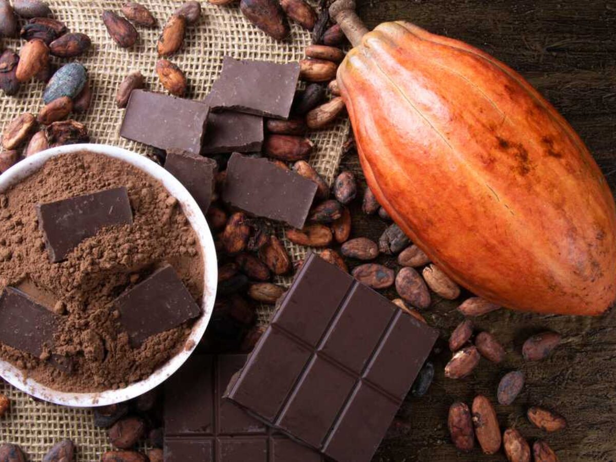Producción mundial de cacao se ha duplicado en los últimos 30 años ...