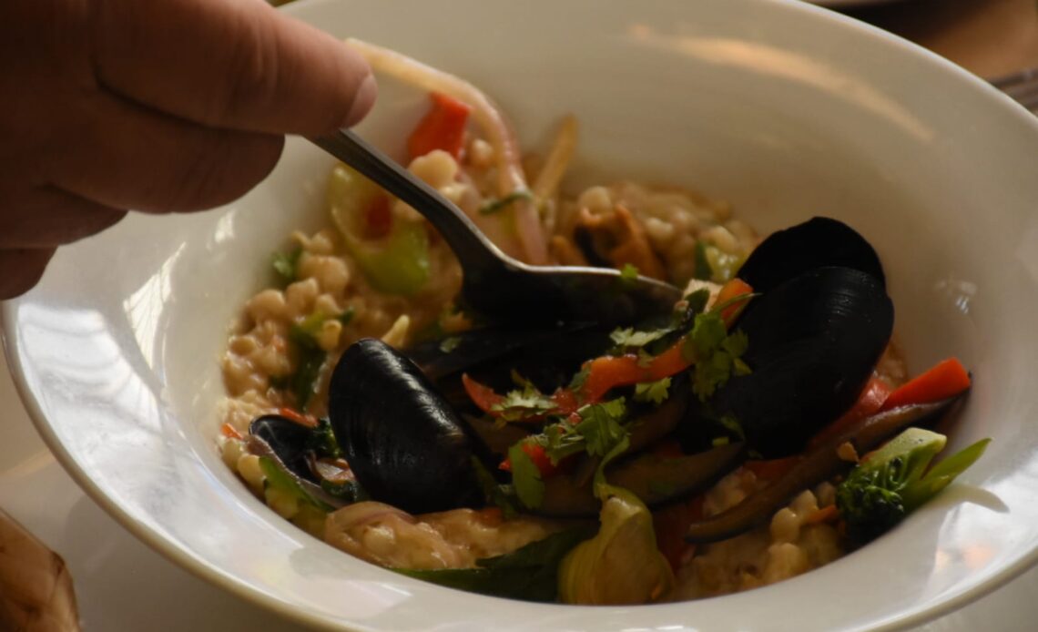 En Calbuco se realiza el Día del Chorito chileno | Página V